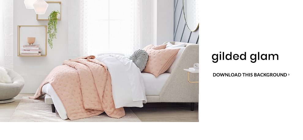 Zoom Virtual Backgrounds | Pottery Barn Teen