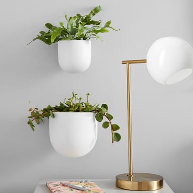 west elm x pbt Ceramic Wallscape Planter | Pottery Barn Teen