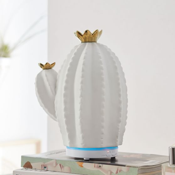 Cactus Light Up Ceramic Diffuser | Pottery Barn Teen