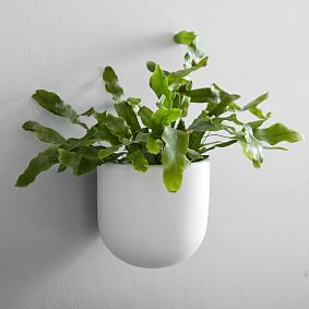 west elm x pbt Ceramic Wallscape Planter | Pottery Barn Teen