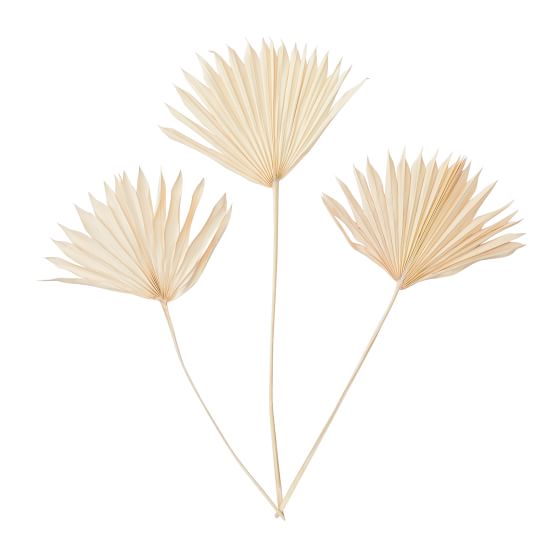 Dried Palm Leaf Bundle- Set of 3- Blush | Pottery Barn Teen