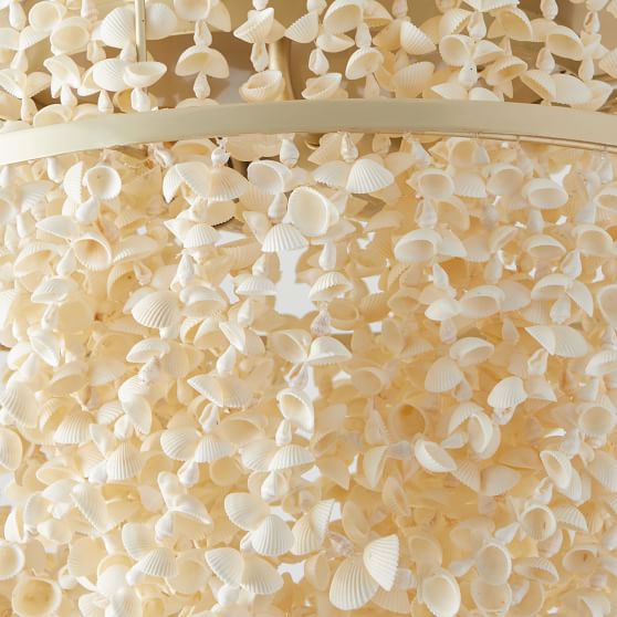 Lilly Pulitzer Draped Shell Flush Mount | Pottery Barn Teen