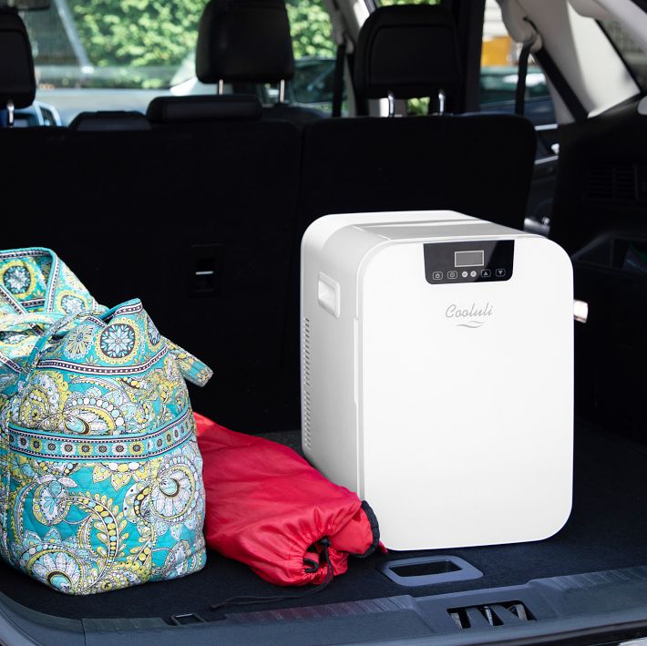 Concord Mini Fridge | Pottery Barn Teen