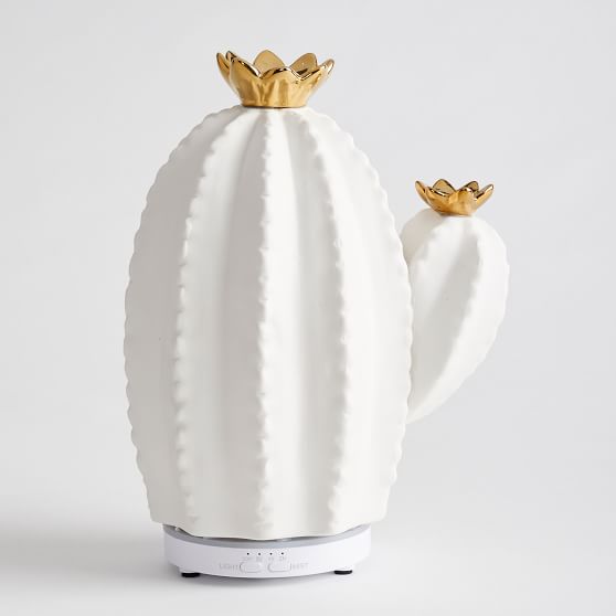 Cactus Light Up Ceramic Diffuser | Pottery Barn Teen