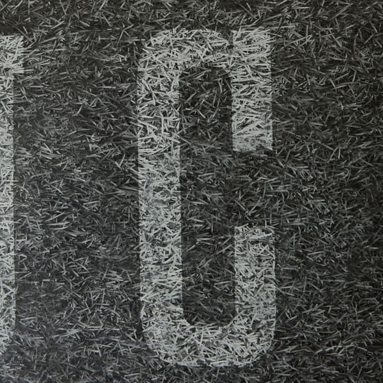 Open Box: Football Field Peel and Stick Wallpaper Decal | Pottery Barn Teen