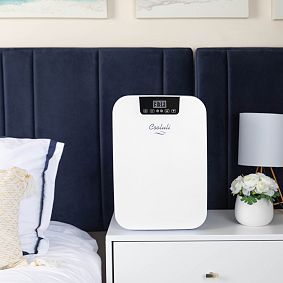 Concord Mini Fridge | Pottery Barn Teen