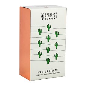 Cactus String Lights For Bedroom | Pottery Barn Teen