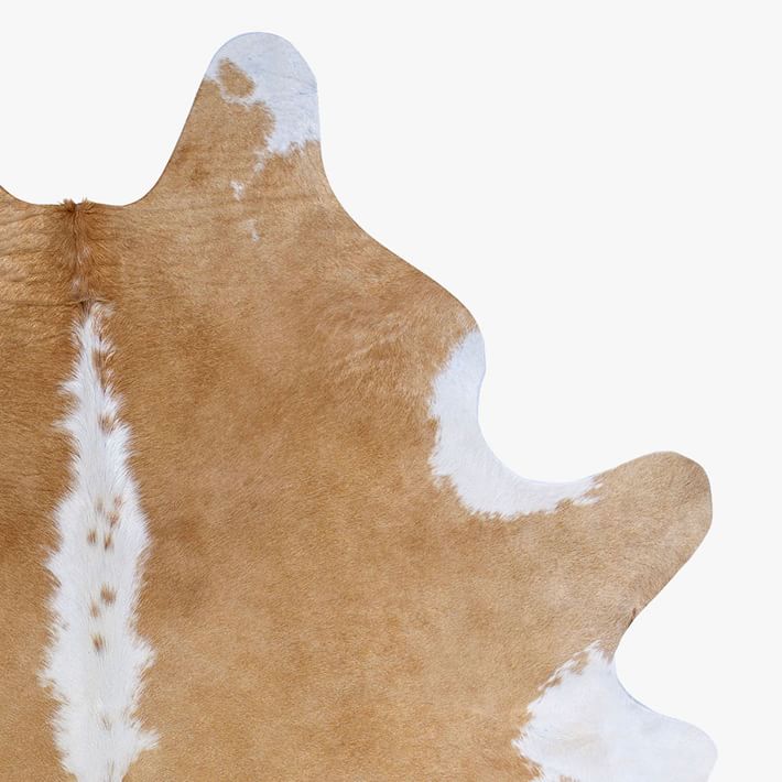 Spotted Beige Cow Hide Rug | Pottery Barn Teen