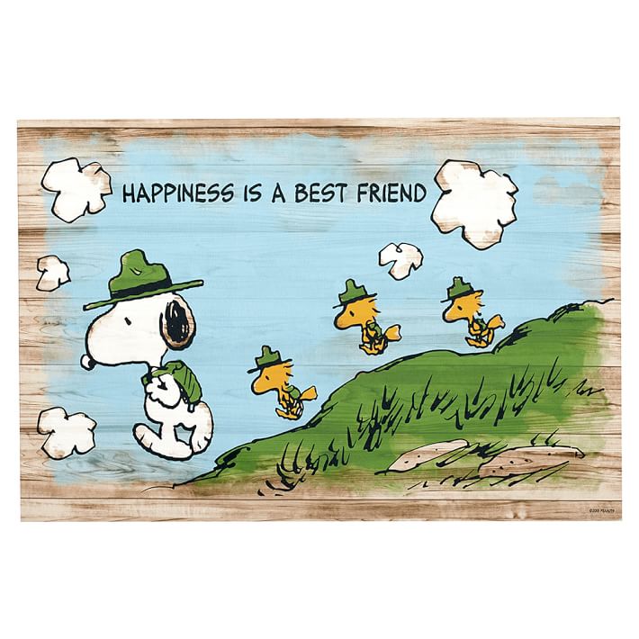 Peanuts® "Happiness is a Best Friend" Canvas Art | Teen Decor Sale ...