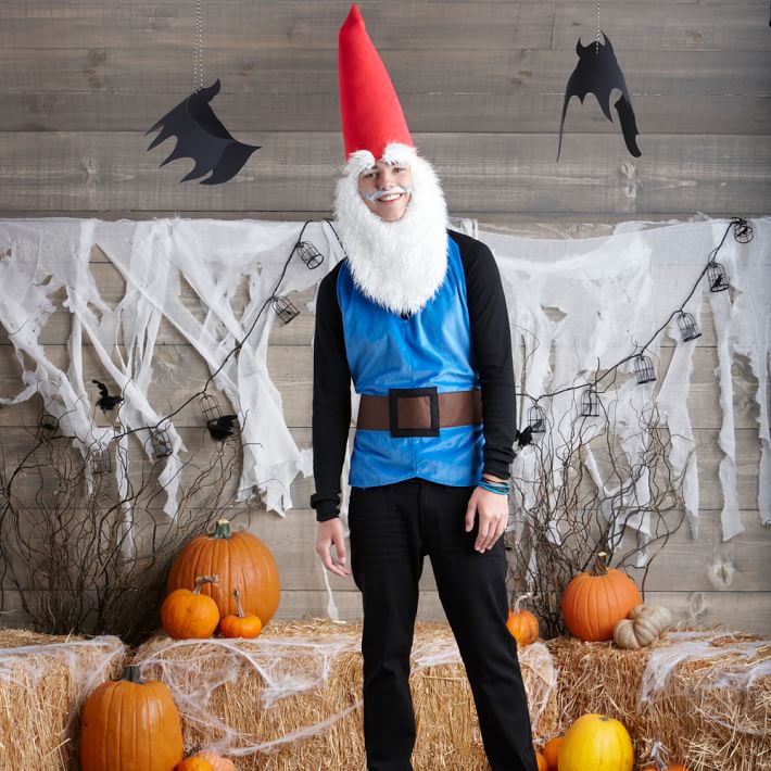 Gnome Teen Halloween Costume | Pottery Barn Teen