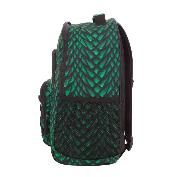 Gear-Up Dragon Skin Backpacks | Pottery Barn Teen