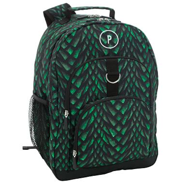 Gear-Up Dragon Skin Backpacks | Pottery Barn Teen