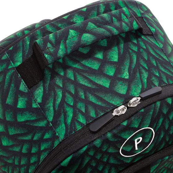Gear-Up Dragon Skin Backpacks | Pottery Barn Teen