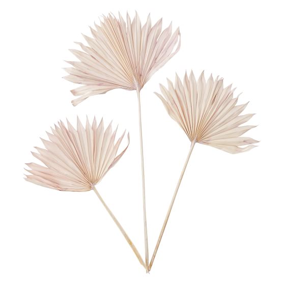 Dried Palm Leaf Bundle- Set of 3- Lavender | Pottery Barn Teen