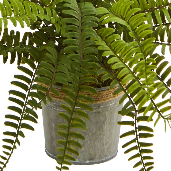 Assorted Ferns with Planter Artificial Plant S/3 | Pottery Barn Teen