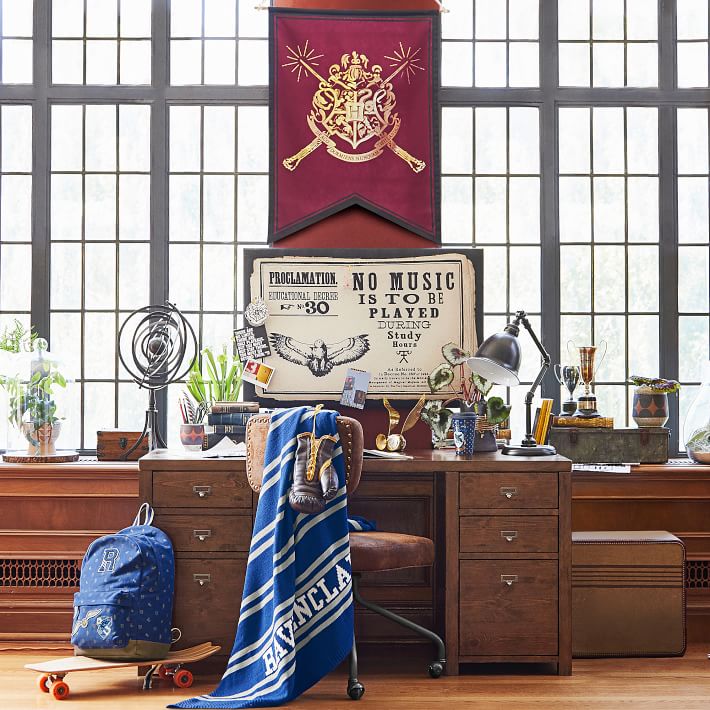 HARRY POTTER™ Proclamation Pinboard | Wall Organizers | Pottery Barn Teen