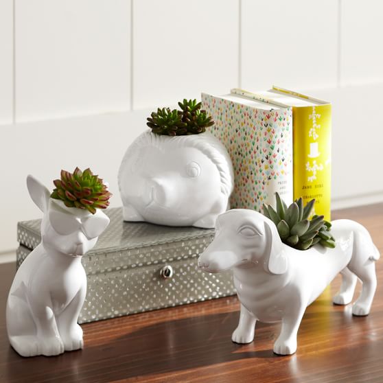 Novelty Planters | Plant Stands | Teen Room Decor | Pottery Barn Teen