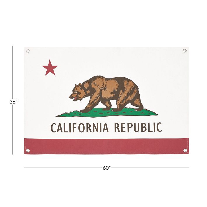 Canvas State Flag | Pottery Barn Teen