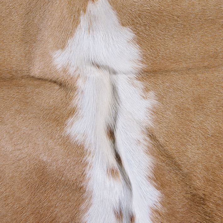 Spotted Beige Cow Hide Rug | Pottery Barn Teen