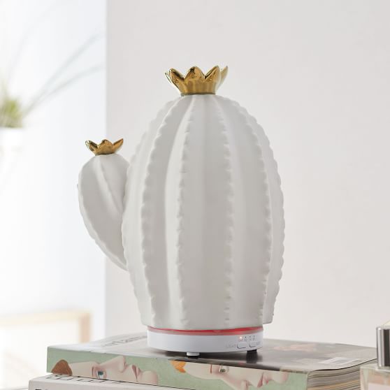 Cactus Light Up Ceramic Diffuser | Pottery Barn Teen