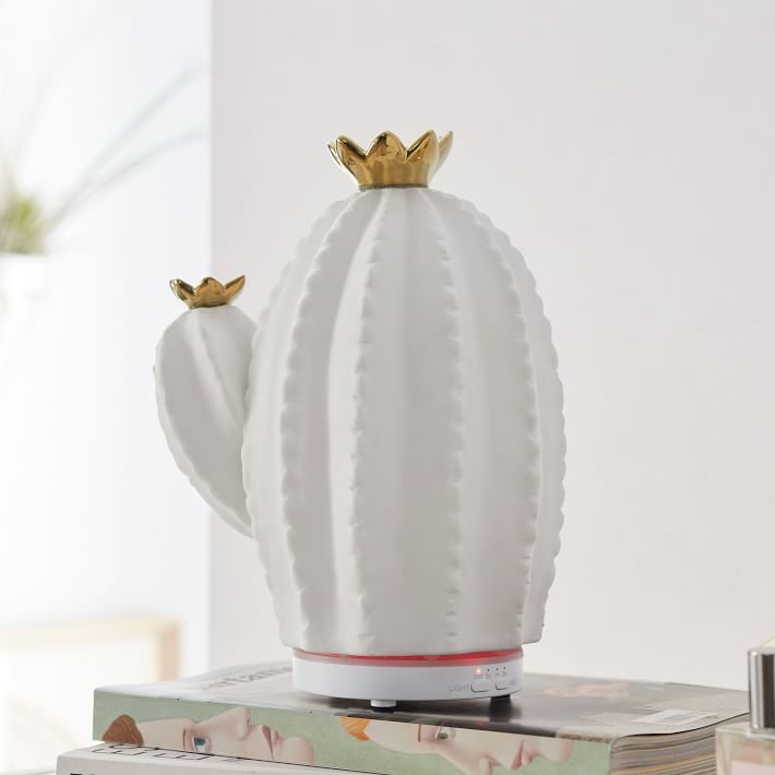 Cactus Light Up Ceramic Diffuser | Pottery Barn Teen