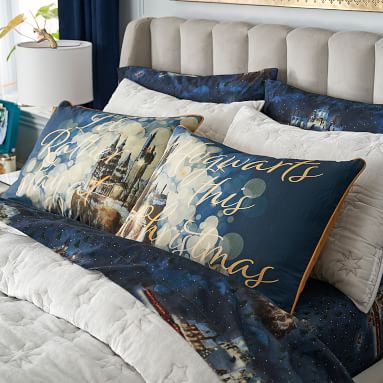 Harry Potter™ Hogwarts™ Express Organic Sheet Set | Pottery Barn Teen