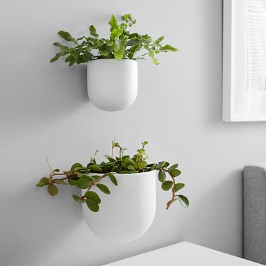 west elm x pbt Ceramic Wallscape Planter | Pottery Barn Teen
