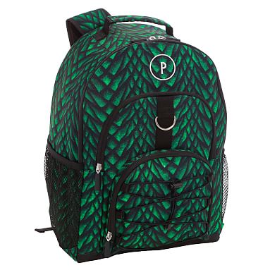 Gear-Up Dragon Skin Backpacks | Pottery Barn Teen