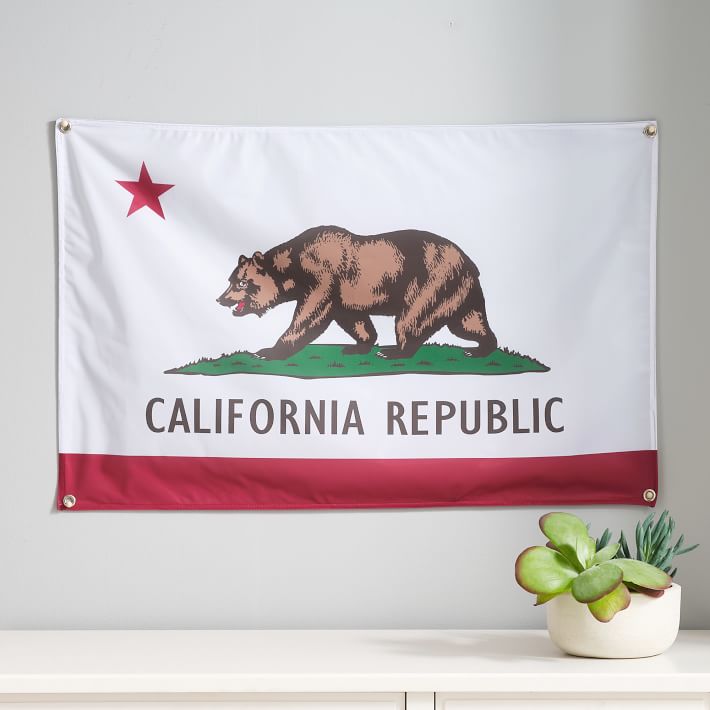 Open Box: State Pride Flag | Pottery Barn Teen