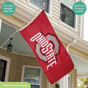College Single-Sided Flag | Pottery Barn Teen