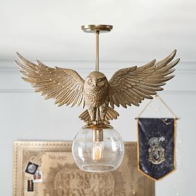 Harry Potter™ Hedwig™ Pendant - Rustic Ceiling Lighting | Pottery Barn Teen