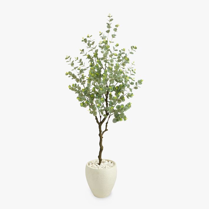 Eucalyptus Artificial Tree | Pottery Barn Teen