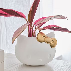 Hello Kitty® Planter | Pottery Barn Teen
