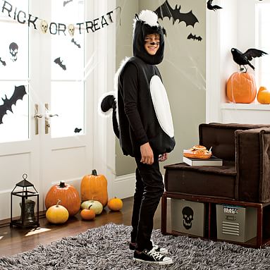 Skunk costume store