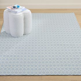 AERIN Trellis Rug | Pottery Barn Teen