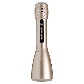 Karaoke Bluetooth® Microphone | Tech Accessories | Pottery Barn Teen
