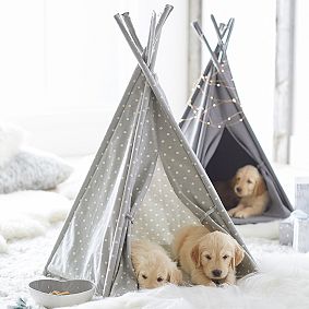 Northfield Canvas Pet Teepee | Teen Decor Sale | Pottery Barn Teen